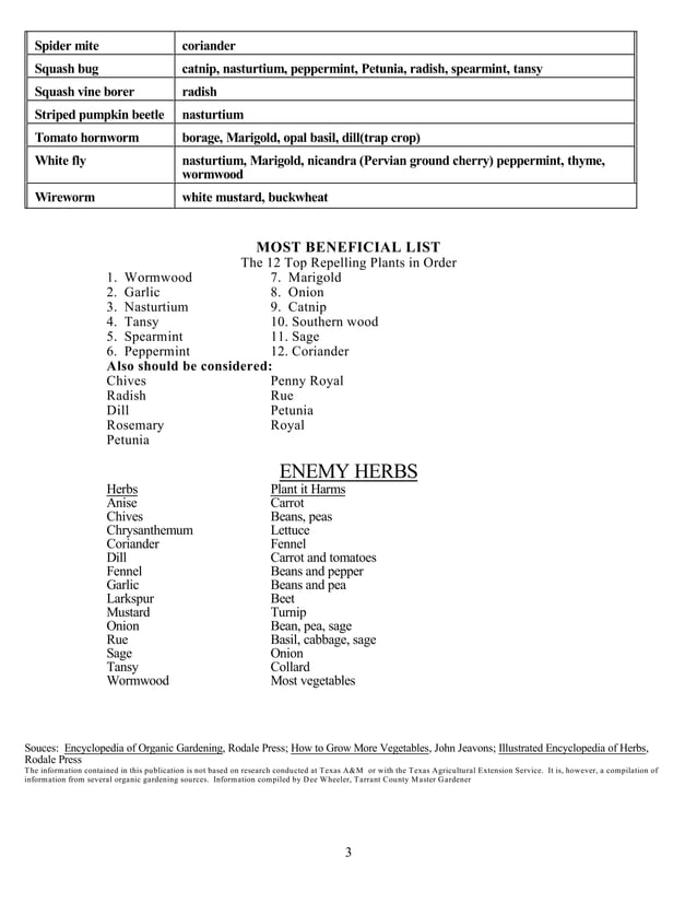 Companion Planting - Tarrant County, Texas Cooperative Extension | PDF