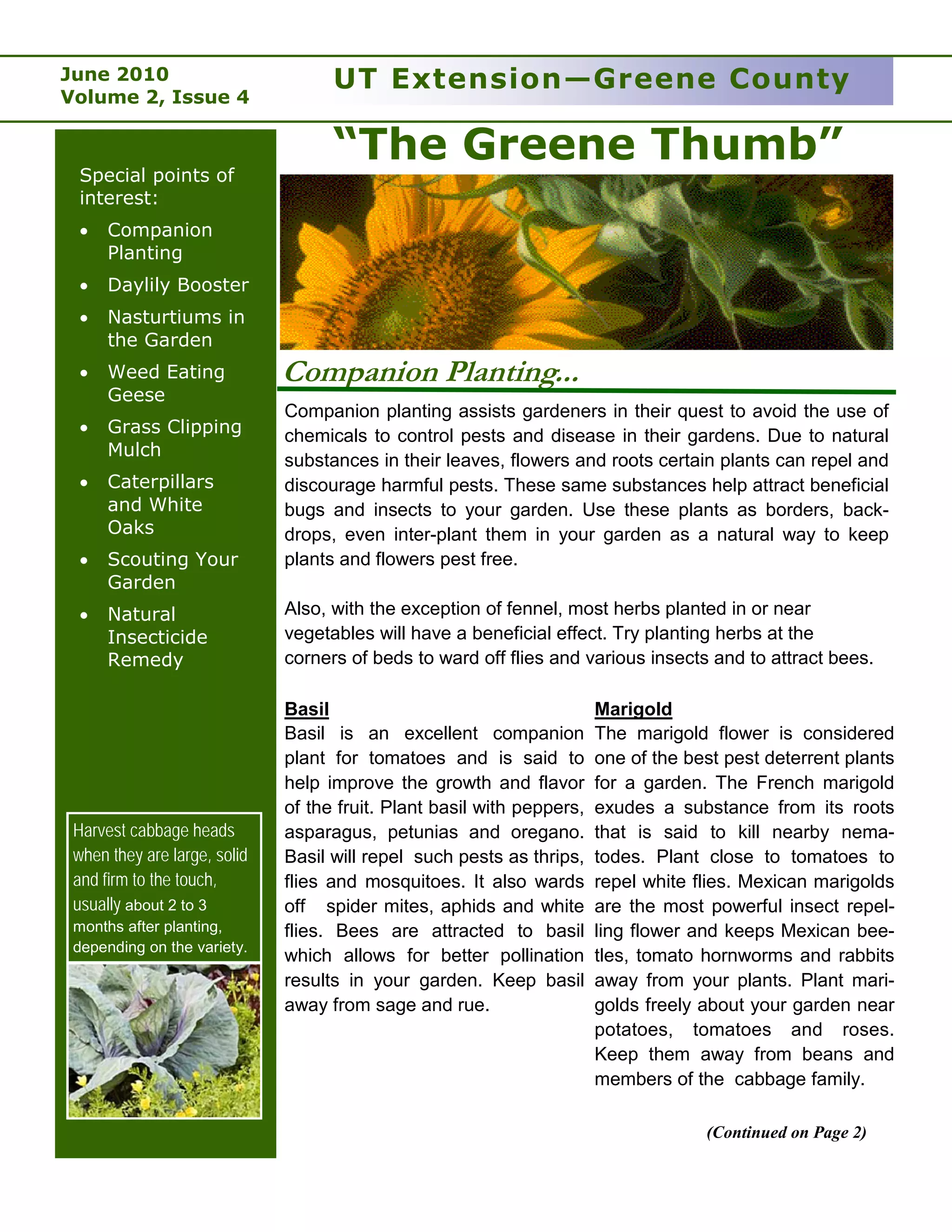 Companion Planting and the Green Thumb - University of Tennessee | PDF ...