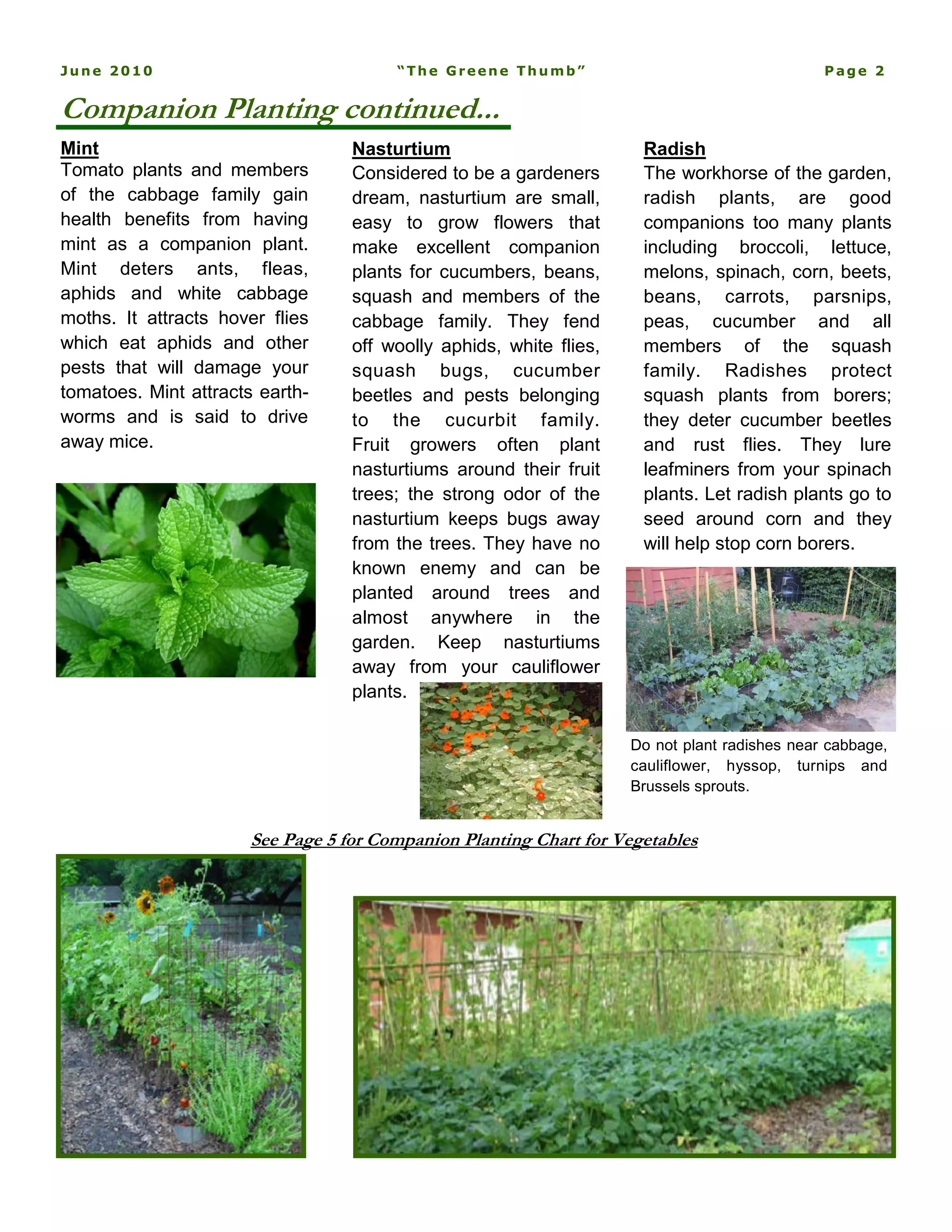 Companion Planting and the Green Thumb - University of Tennessee | PDF ...