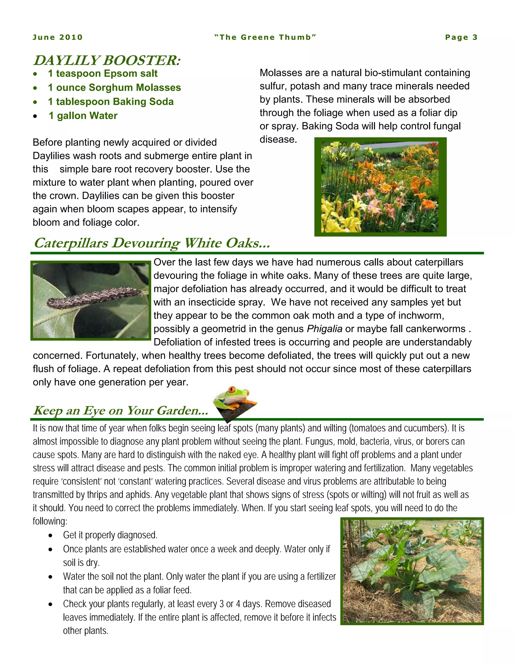 Companion Planting and the Green Thumb - University of Tennessee | PDF ...
