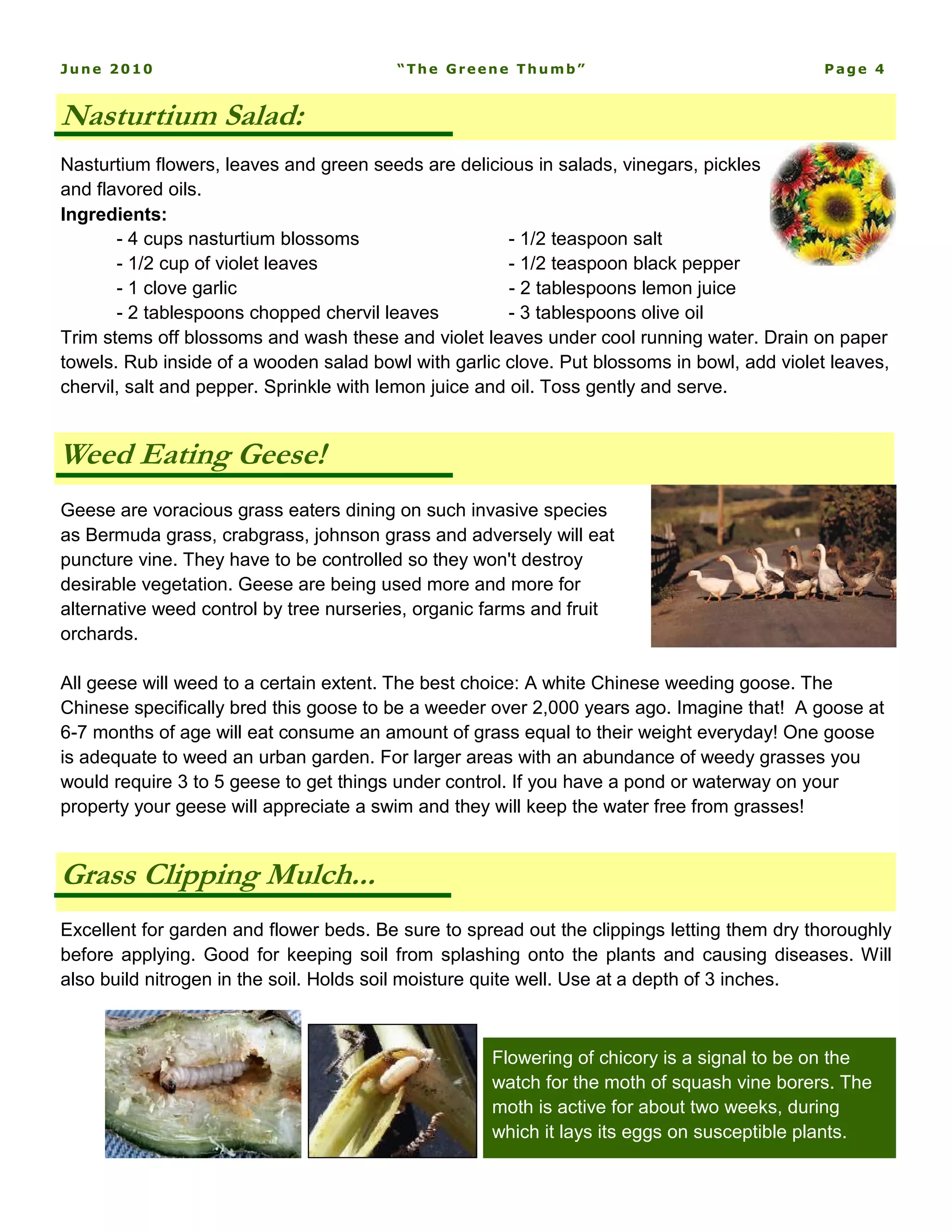 Companion Planting and the Green Thumb - University of Tennessee | PDF ...