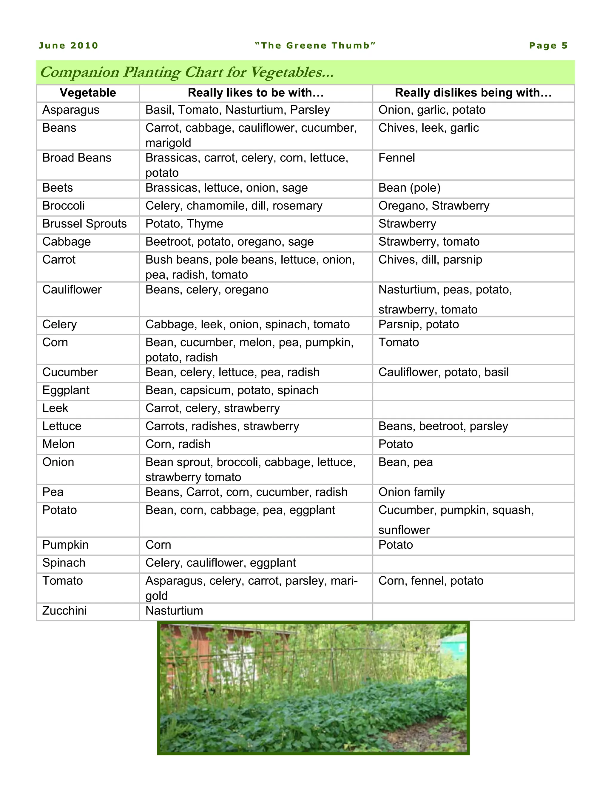 Companion Planting and the Green Thumb - University of Tennessee | PDF ...