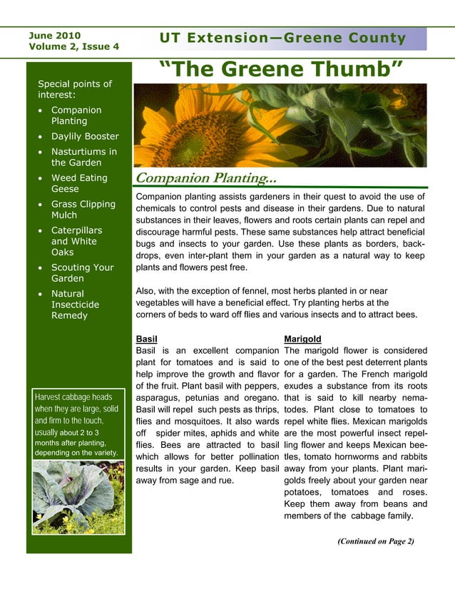Companion Planting and the Green Thumb - University of Tennessee | PDF ...