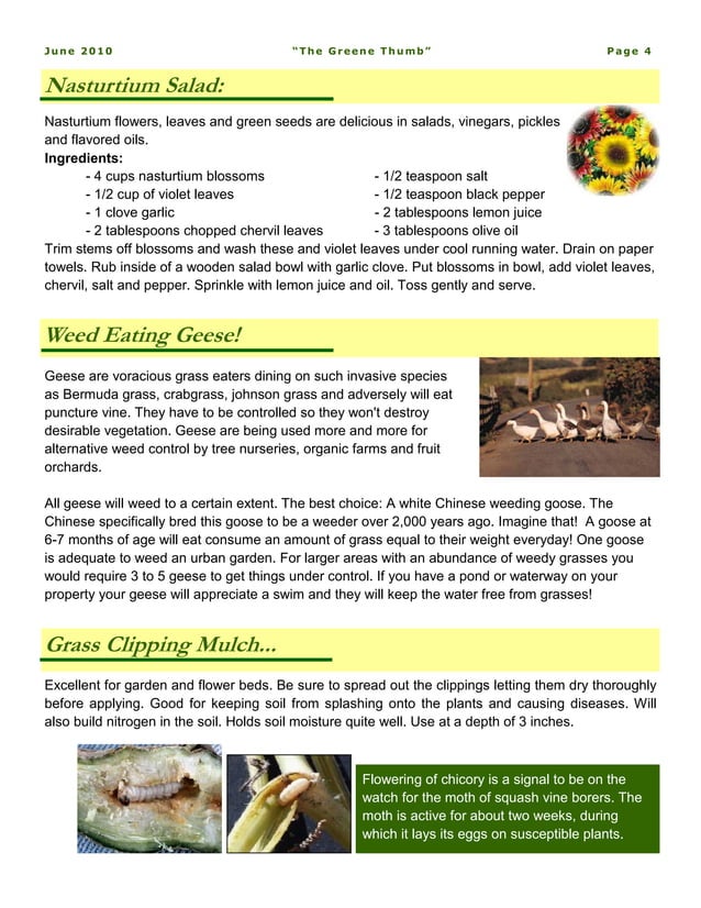 Companion Planting and the Green Thumb - University of Tennessee | PDF ...