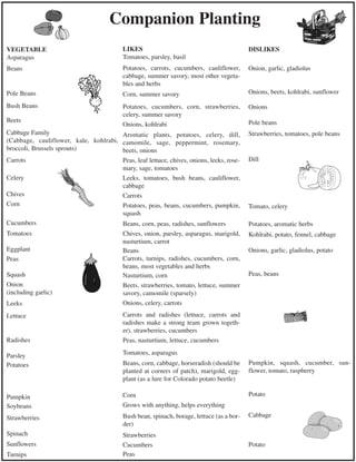 Companion Planting Chart - Penobscot Bay Press, Maine | PDF ...
