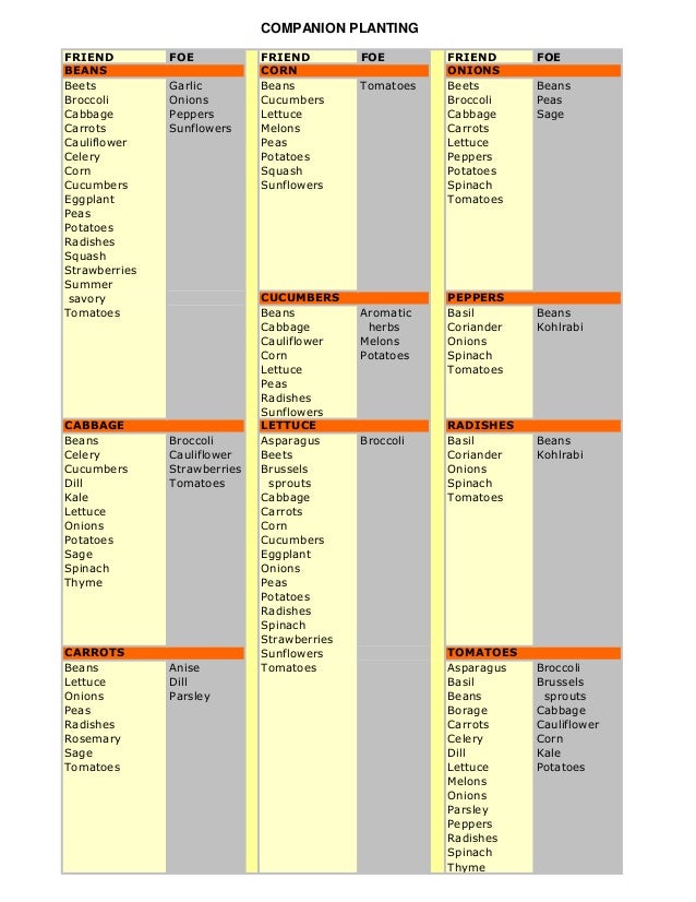 Melons Companion Planting Chart North Dakota Home Garden Variety
