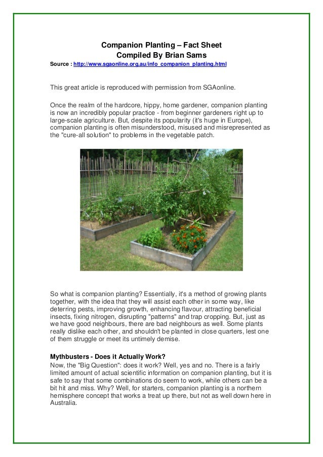 Companion Planting Fact Sheet - Sustainability Gardening Australia