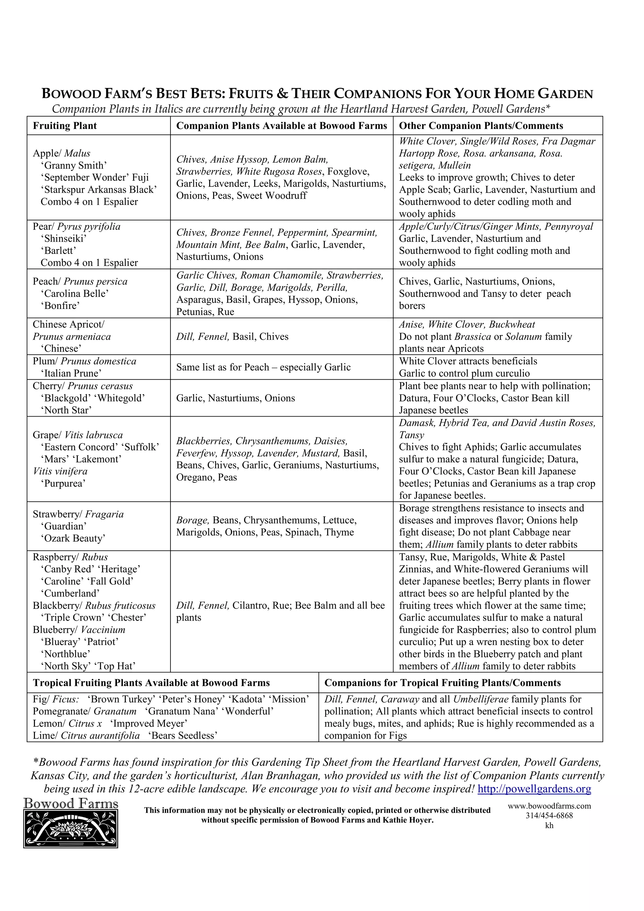 Companion Planting for Fruitful Garden - St. Louis, Missouri | PDF
