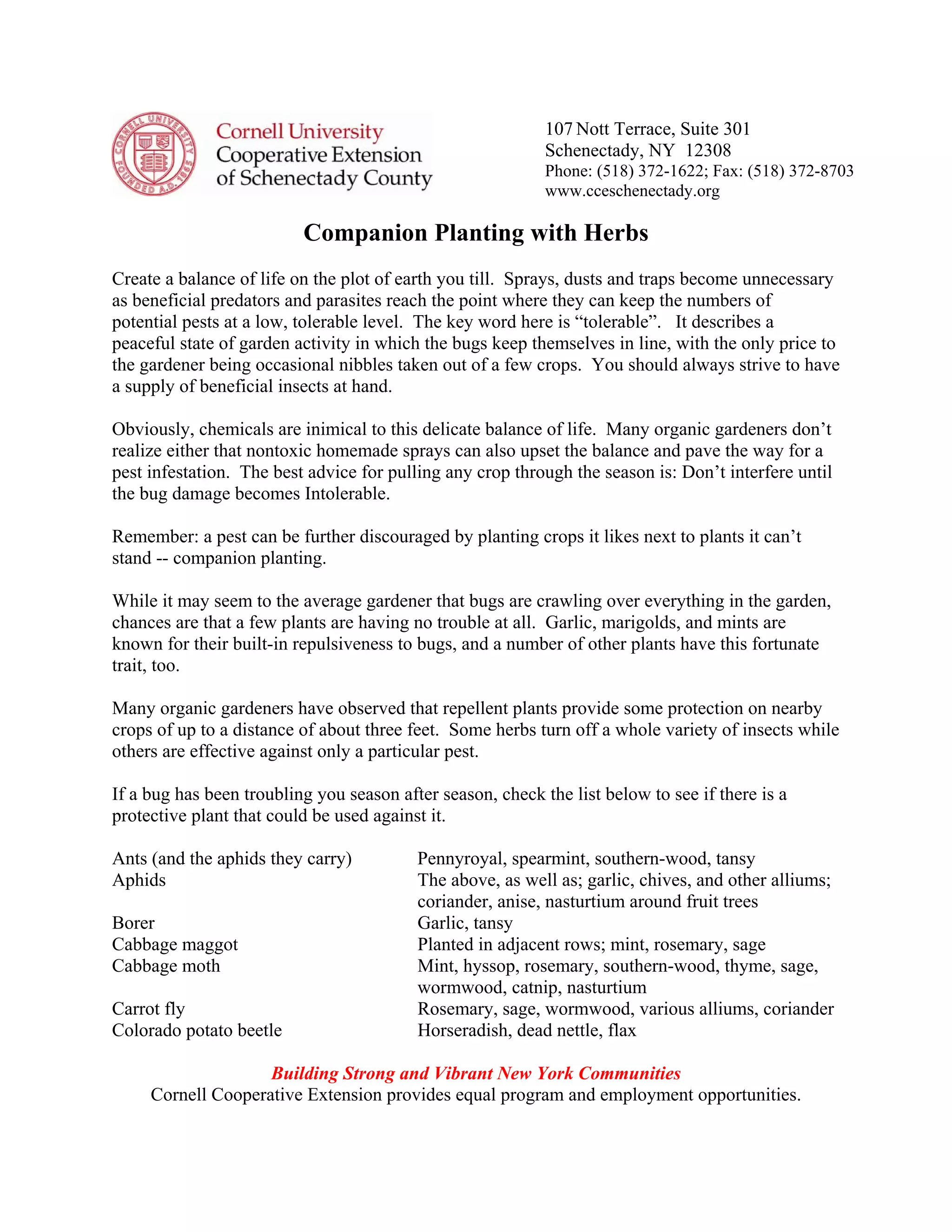 Companion Planting with Herbs - Cornell Cooperative Extension of ...