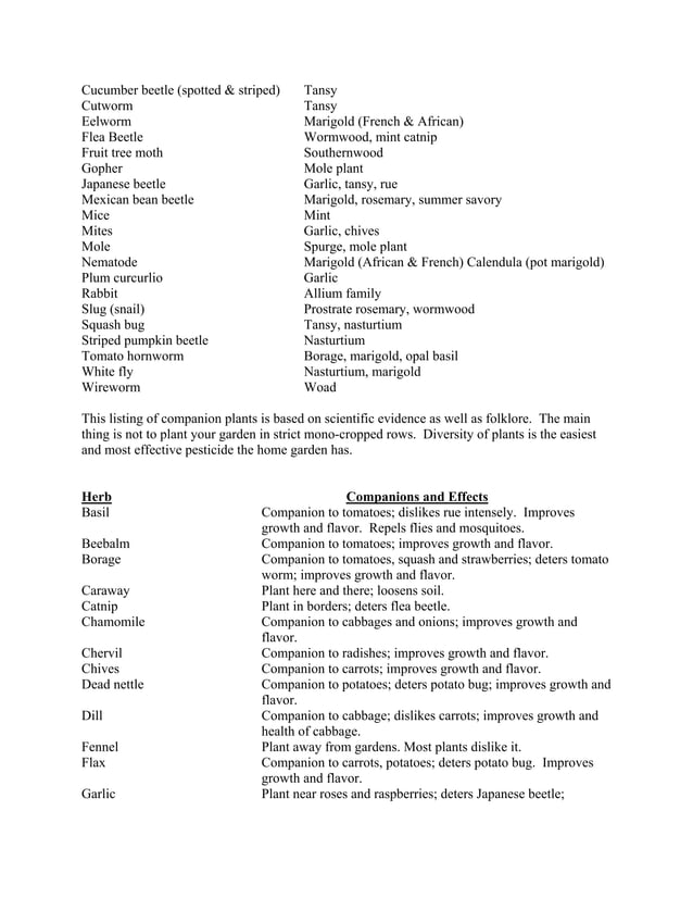 Companion Planting with Herbs - Cornell Cooperative Extension of ...