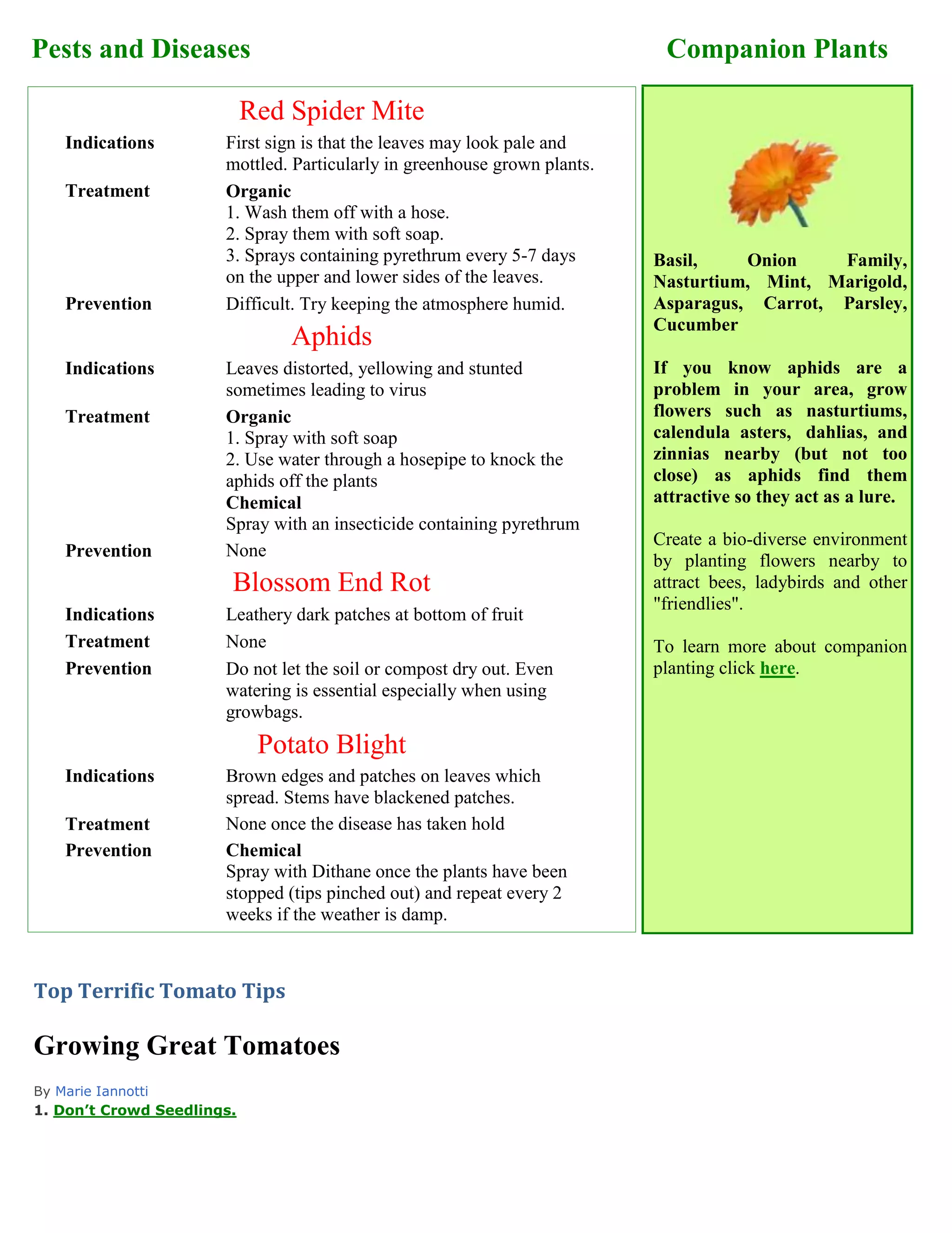 Companion Plants and Organic Pest Control - Texas Native Plants | PDF
