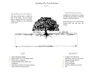 Compatible Plants Under and Around Oaks | PPT