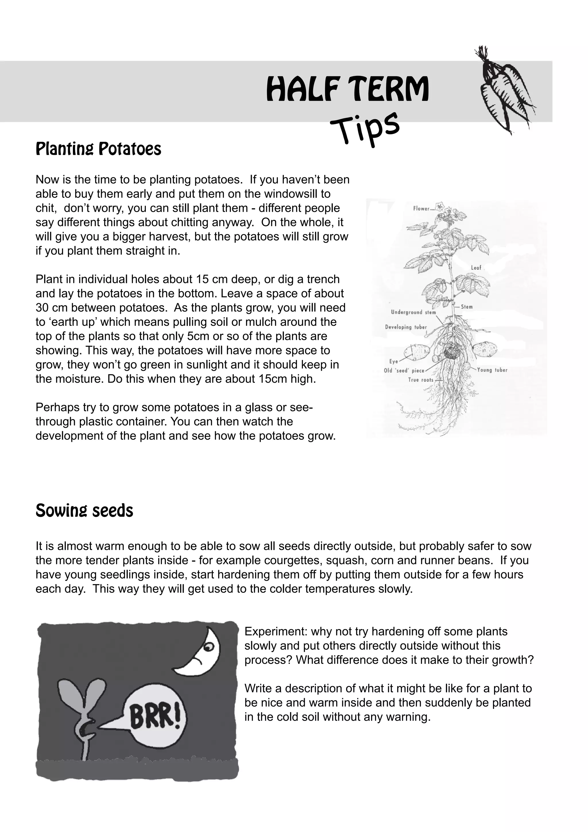 Edible Gardens in Schools: A Growing Guide for Teachers | PDF