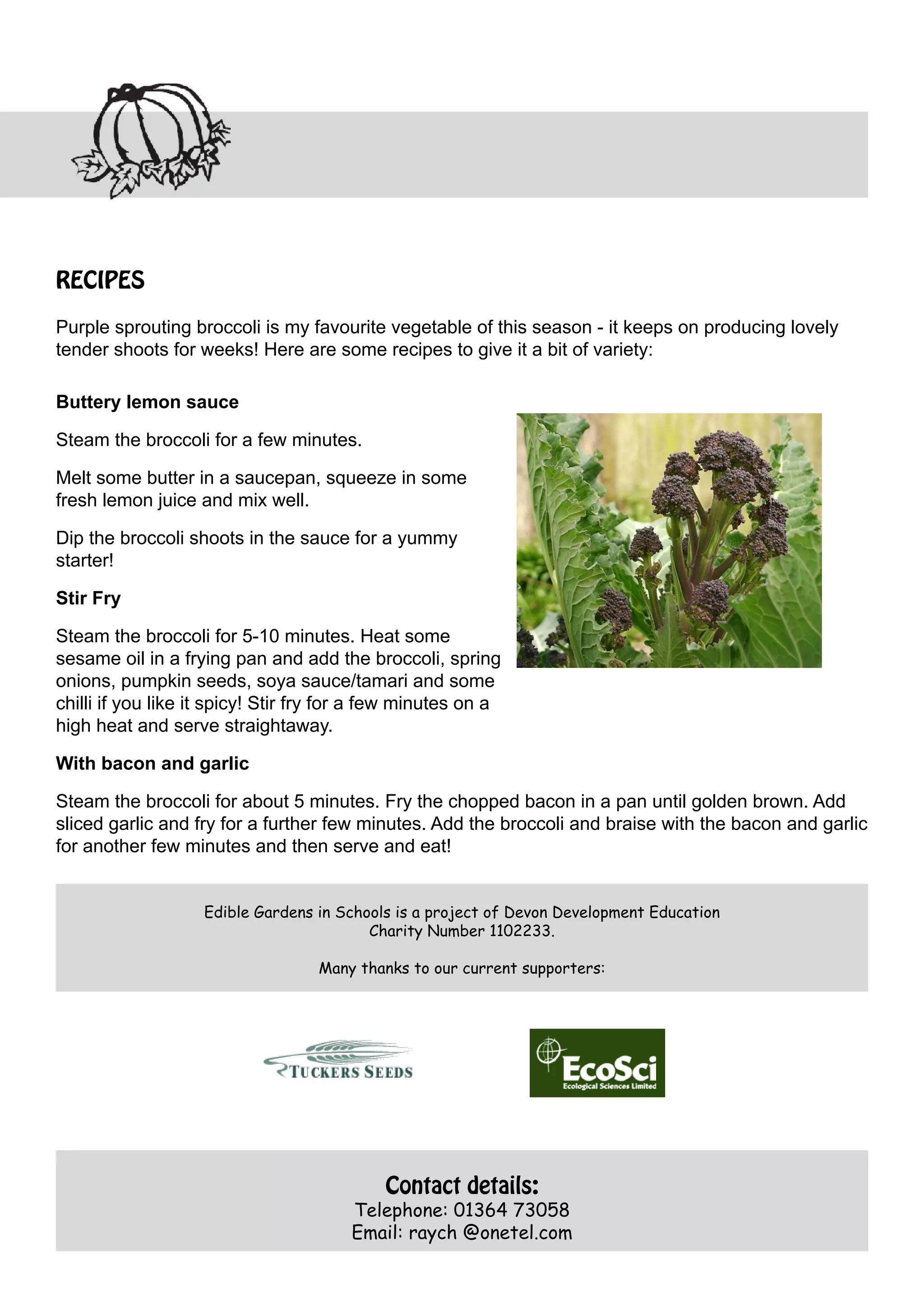 Edible Gardens in Schools: A Growing Guide for Teachers | PDF