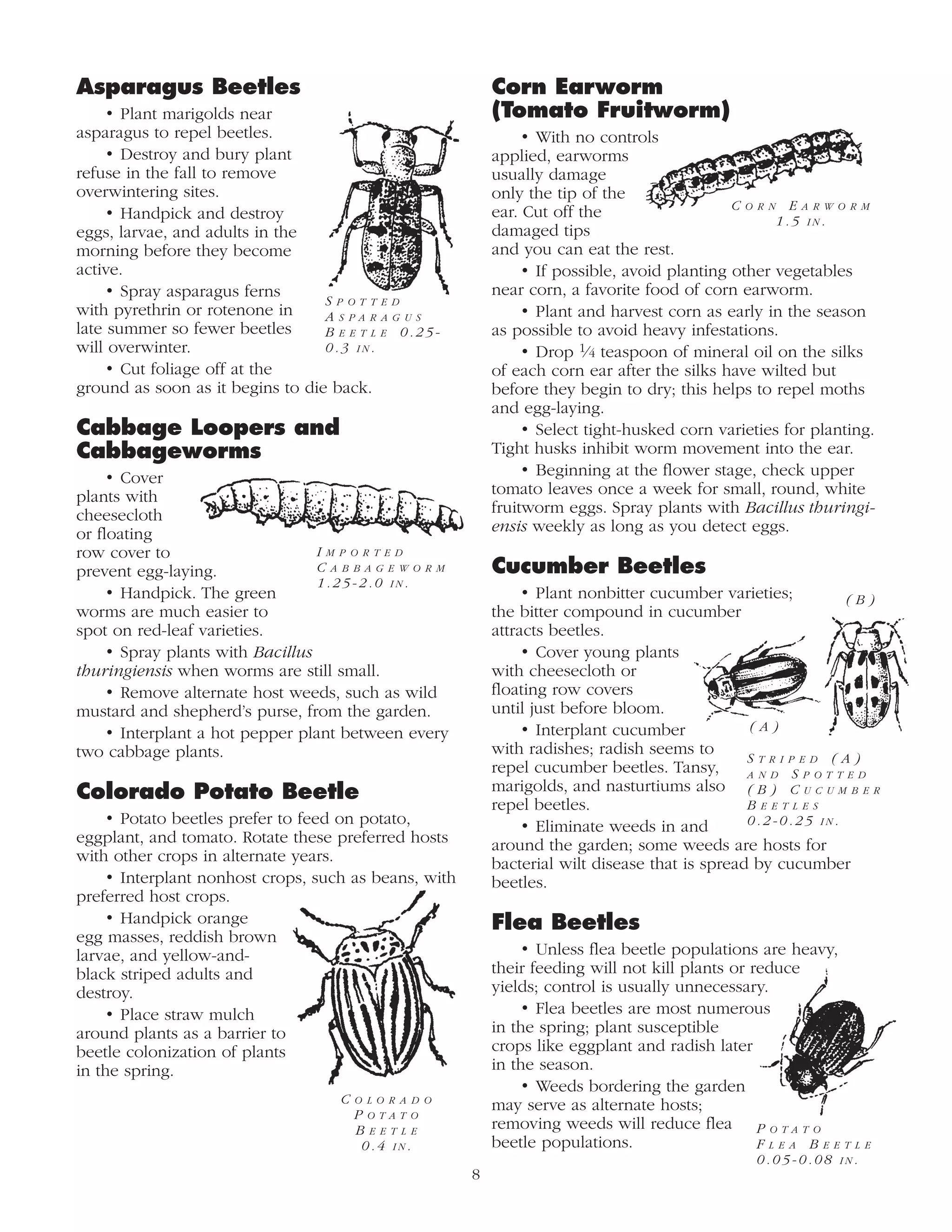 Garden Insect Pest Management in the Home Vegetable Garden - Auburn ...