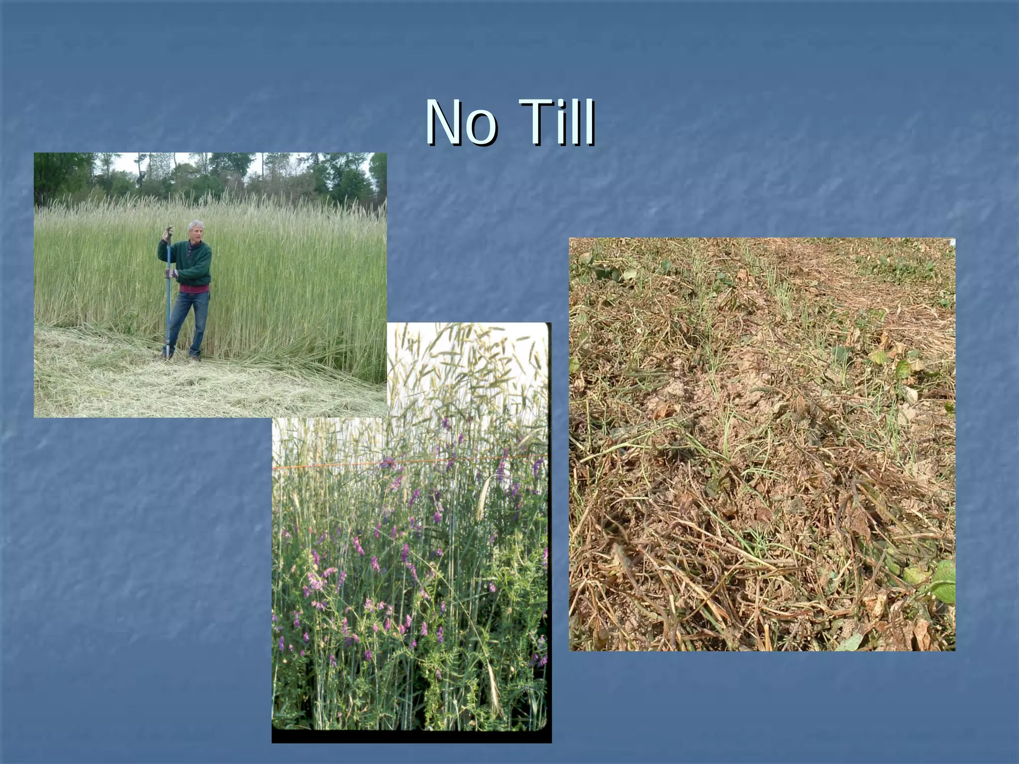 Grow Biointensive Farming and Gardening a Sustainable Agricultural ...