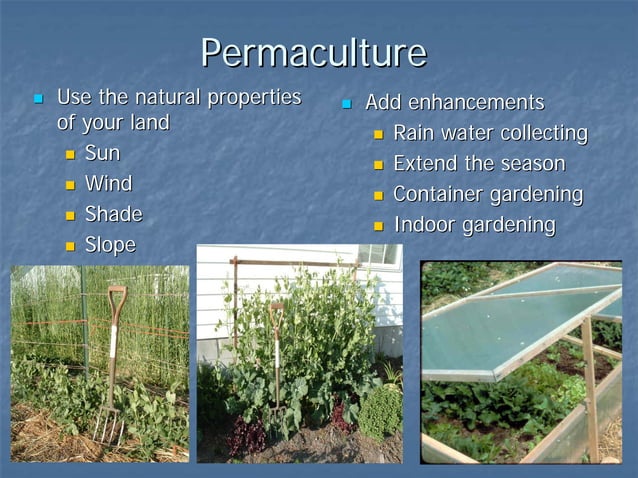 Grow Biointensive Farming and Gardening a Sustainable Agricultural ...