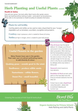 Herb Planting and Useful Plants - Organic Gardening for Primary Schools ...