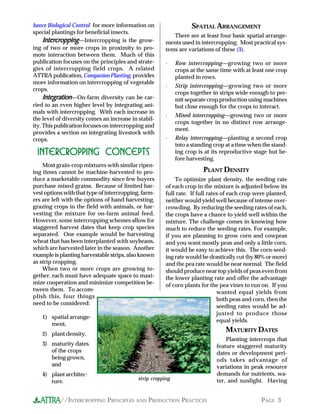 Intercropping Principles and Production Practices - Attra | PDF