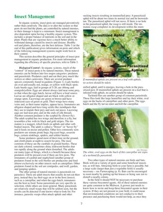 Organic Vegetable Production - Purdue Extension | PDF