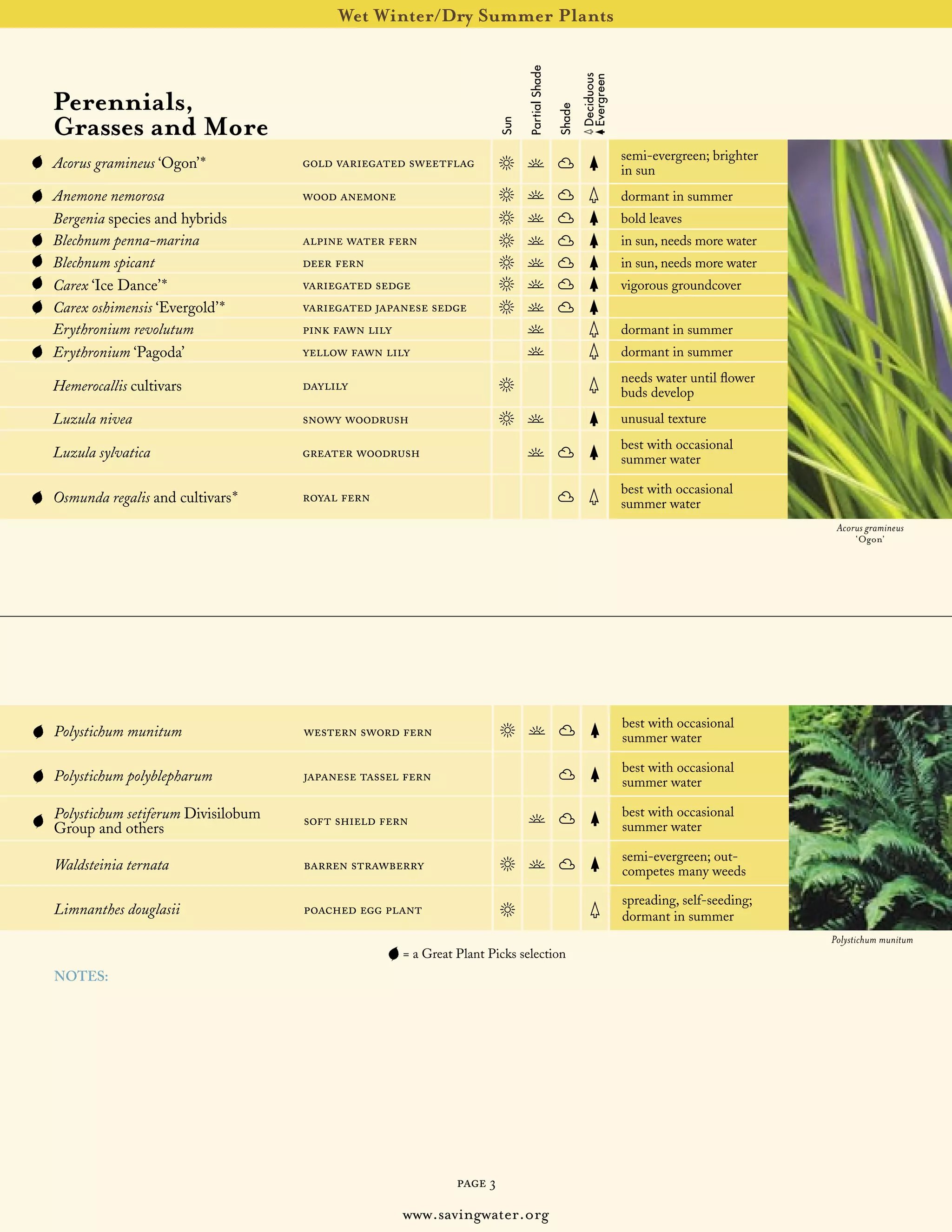 Pacific Northwest Native Plants List for a Trouble Free Garden | PDF