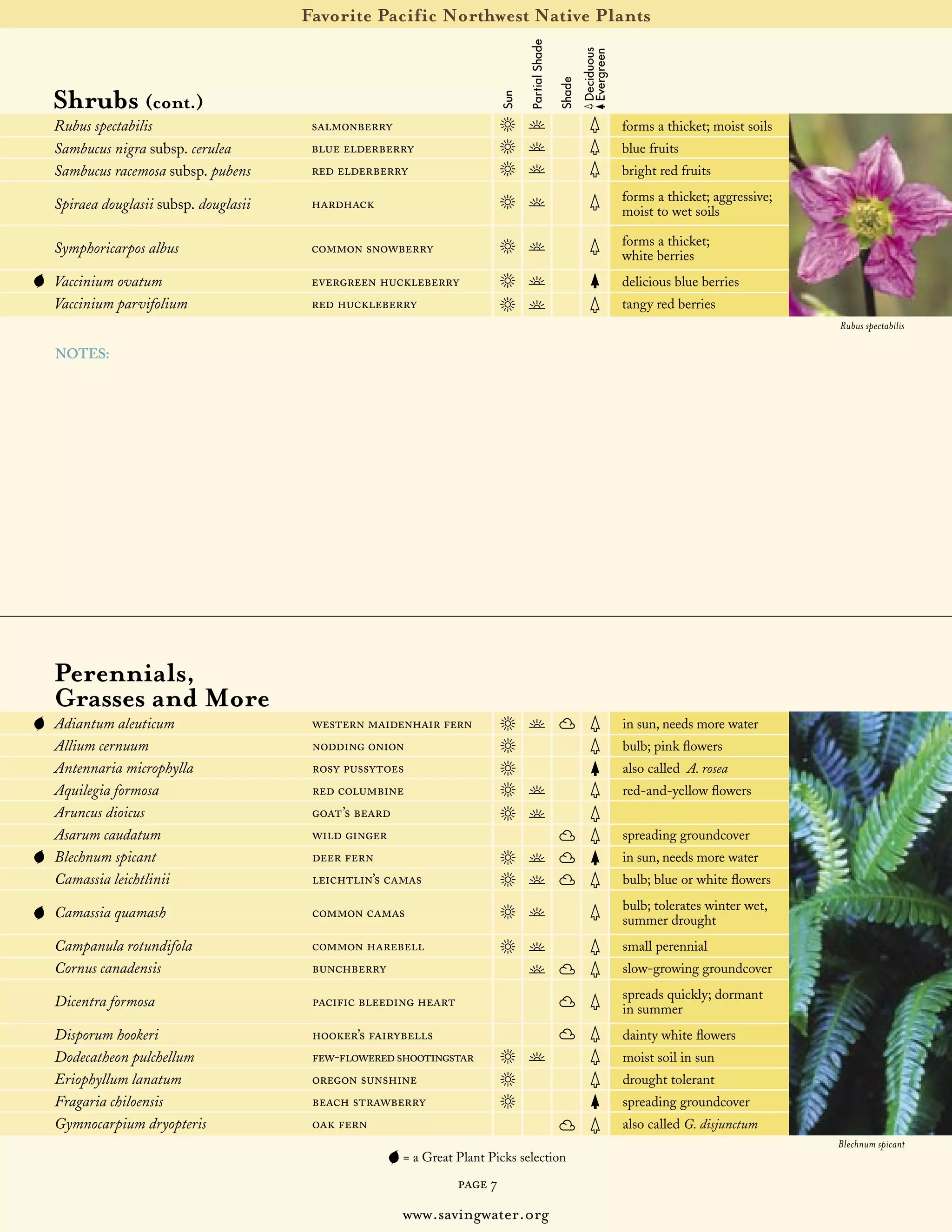 Pacific Northwest Native Plants List for a Trouble Free Garden | PDF
