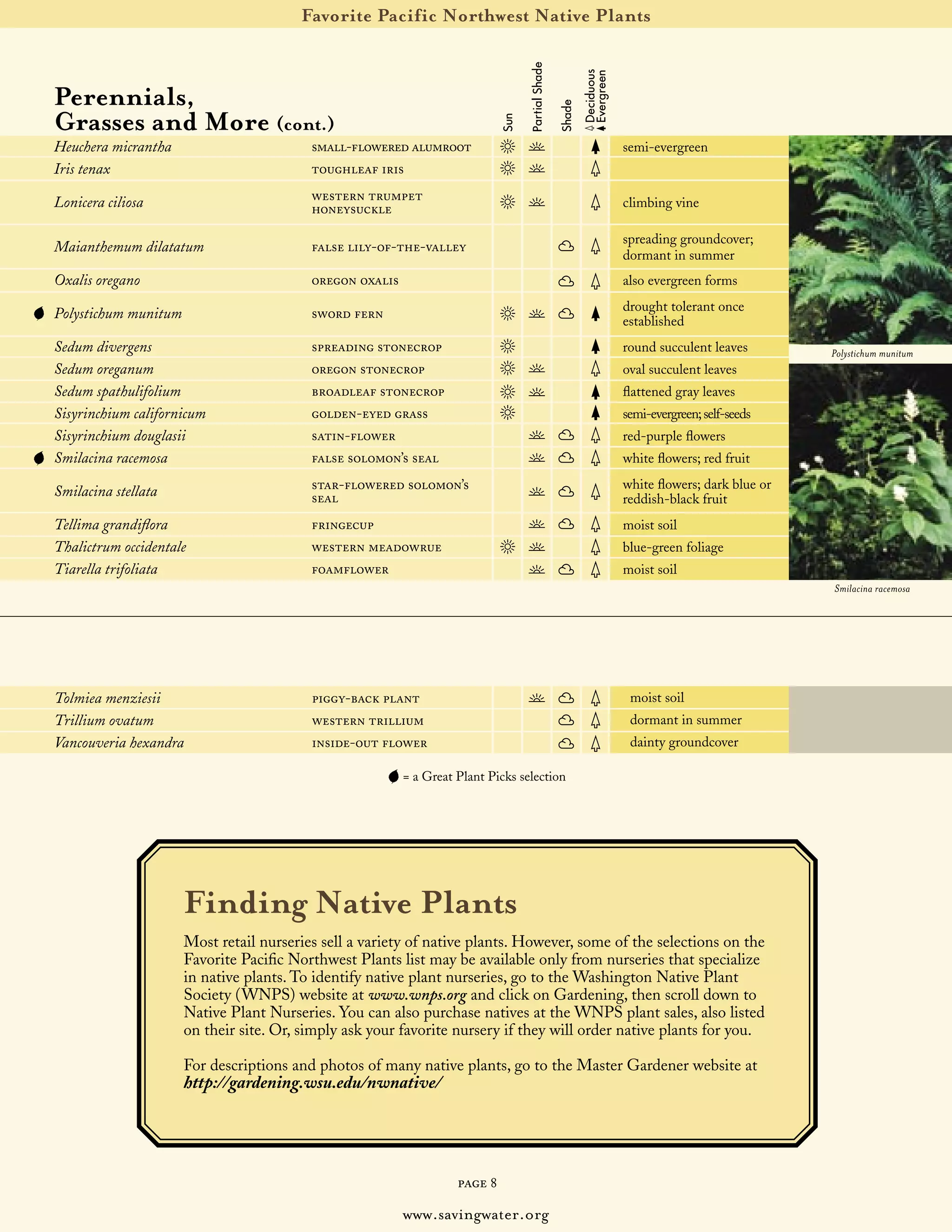 Pacific Northwest Native Plants List for a Trouble Free Garden | PDF
