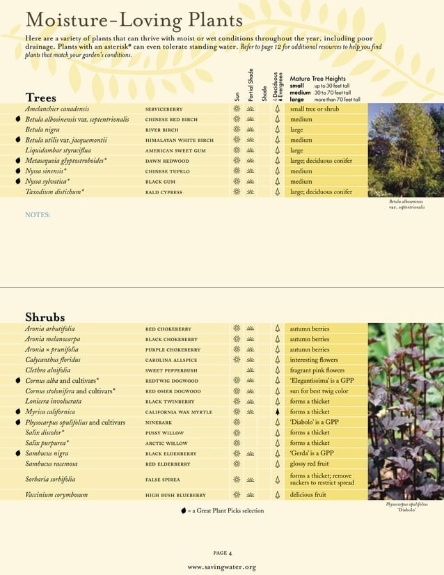 Pacific Northwest Native Plants List for a Trouble Free Garden | PDF