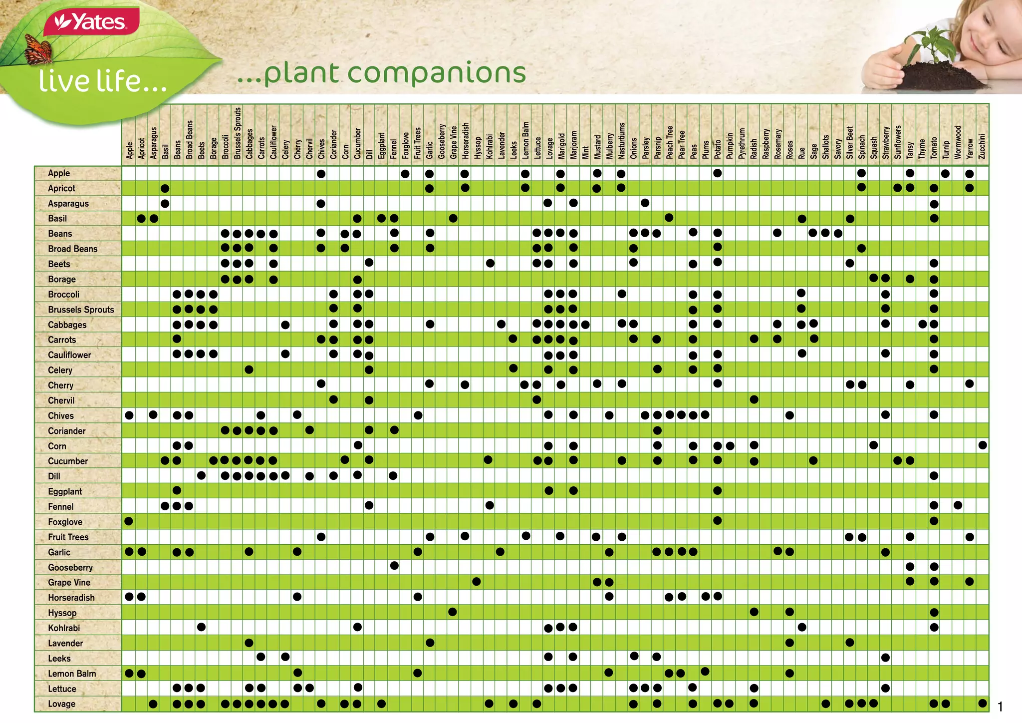 Plant Companions Chart - Australia | PDF