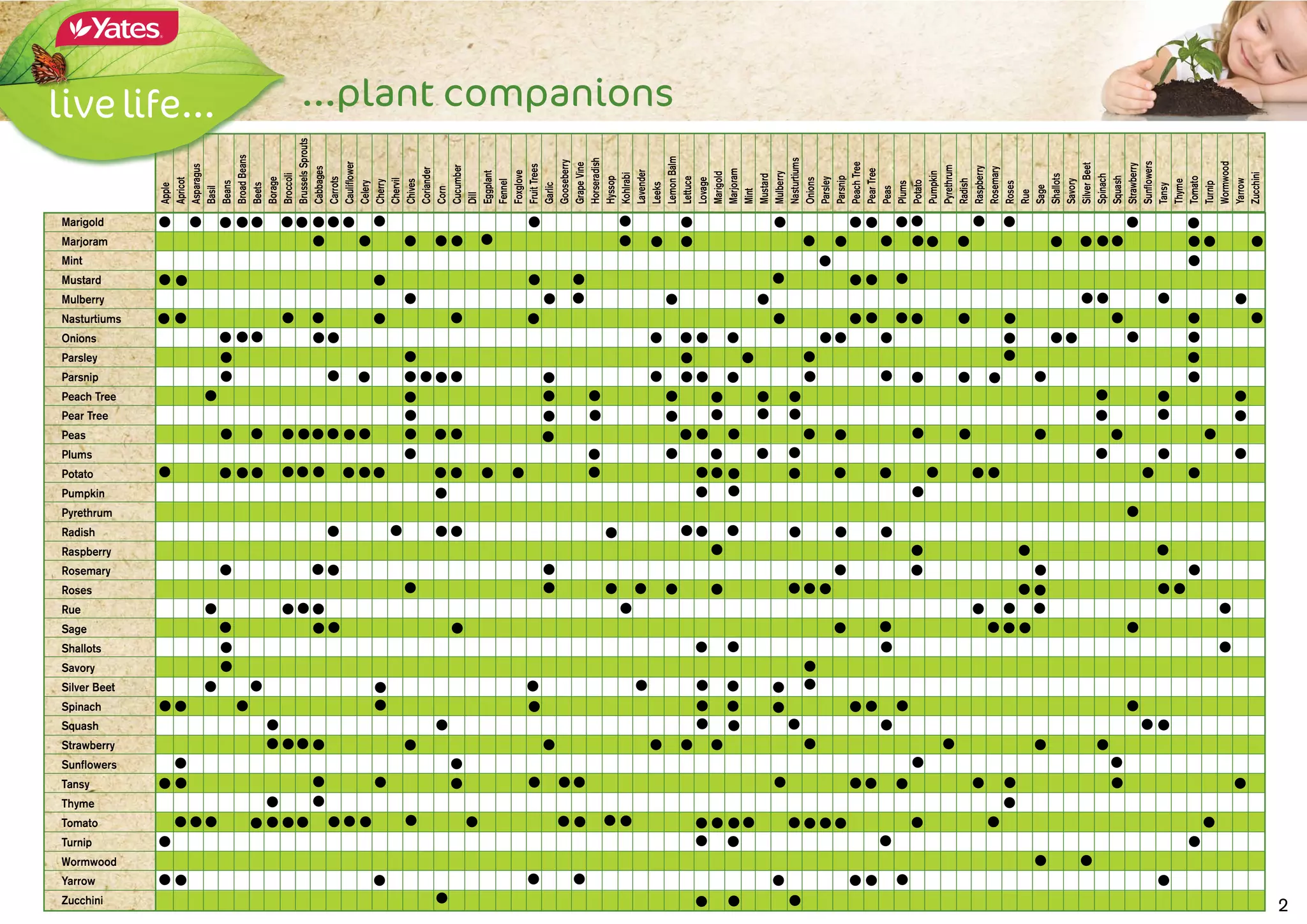 Plant Companions Chart - Australia | PDF