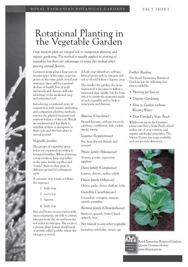 Rotational Planting and Companion Planting Methods in the Vegetable G…