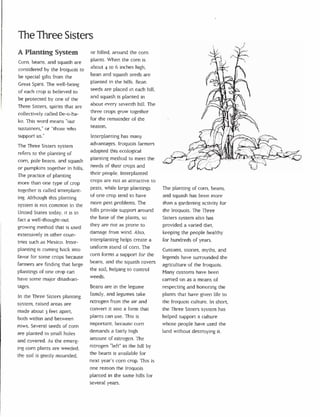 The Three Sisters: Exploring an Iroquois Garden | PDF