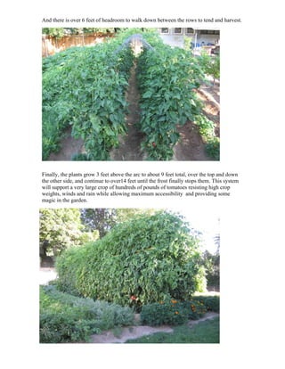 Tomato Trellising System | PDF