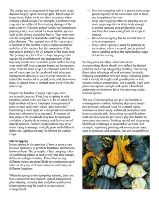 Trap Crops, Intercropping and Companion Planting - University of ...