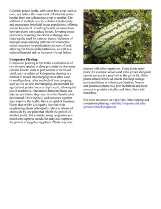 Trap Crops, Intercropping and Companion Planting - University of ...