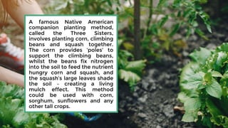 Companion planting | PPTX