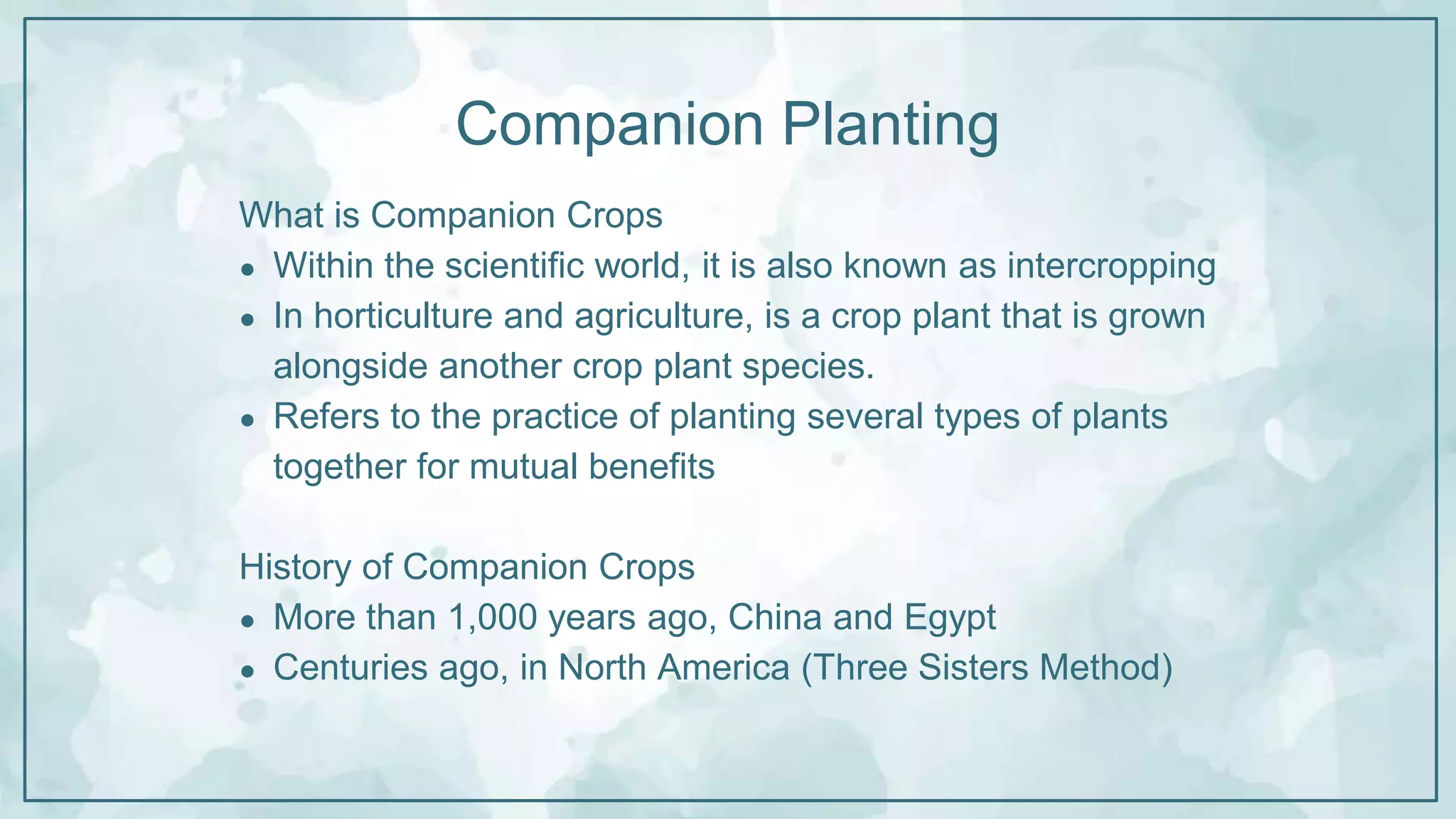 Companion Planting.pptx