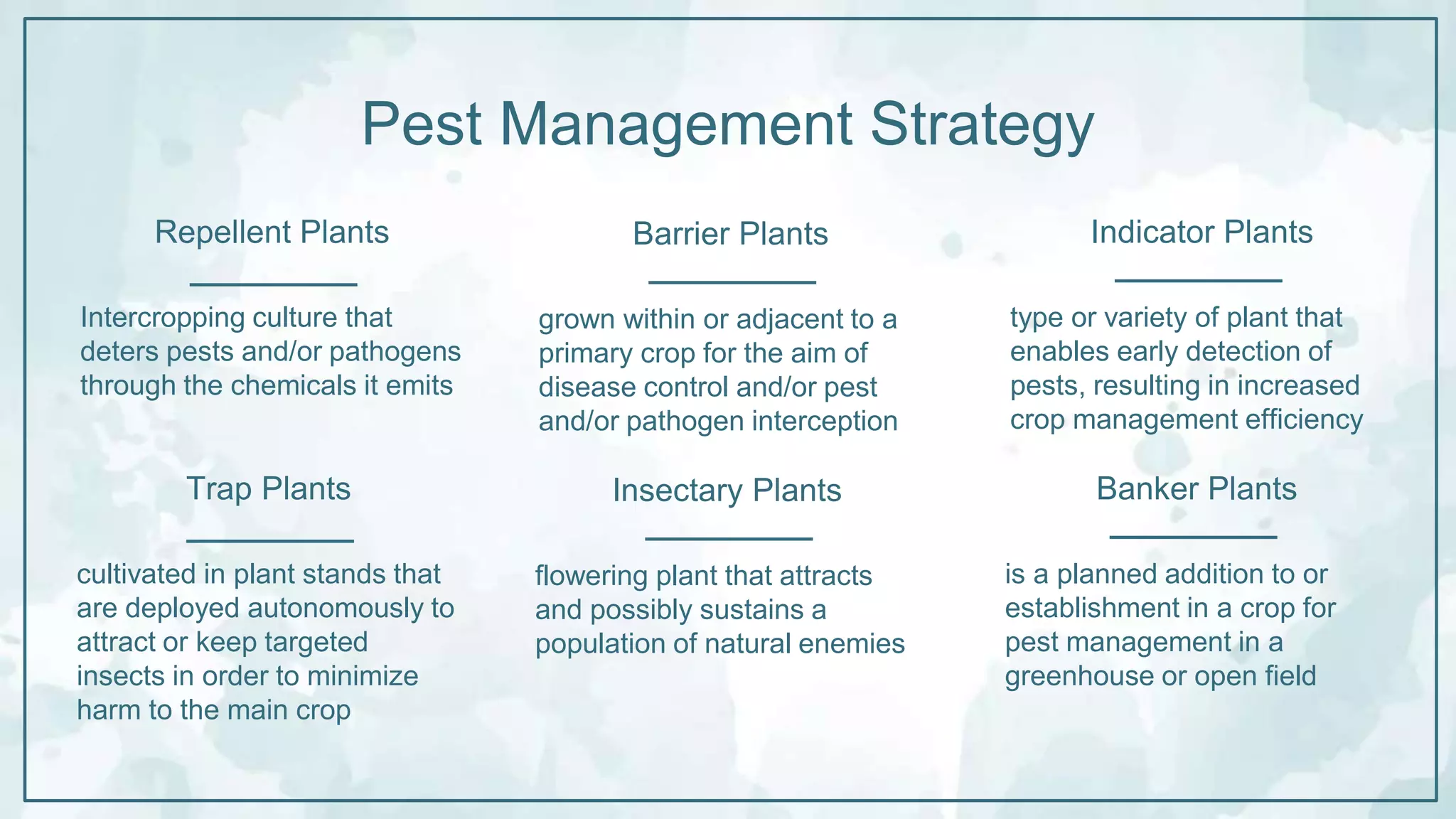 Companion Planting.pptx