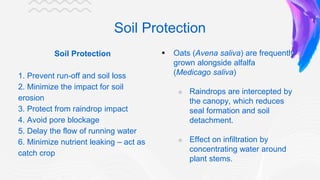 Companion Planting_SO707.pptx