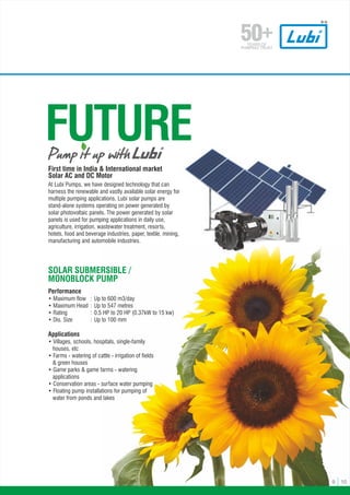 Lubi Pumps - Company profile | PDF