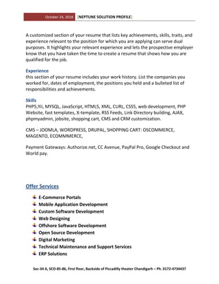 Neptune Solution | PDF | Web Development | Internet