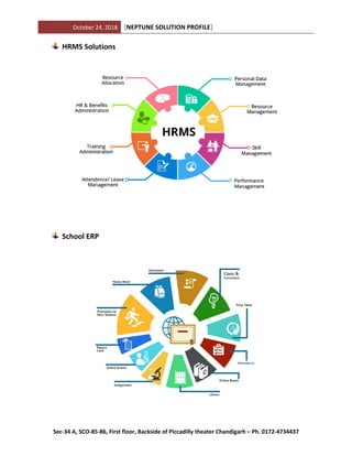 Neptune Solution | PDF | Web Development | Internet
