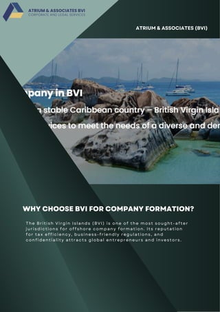 Company Formation in the British Virgin Islands (BVI).pdf