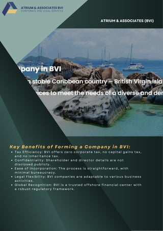 Company Formation in the British Virgin Islands (BVI).pdf