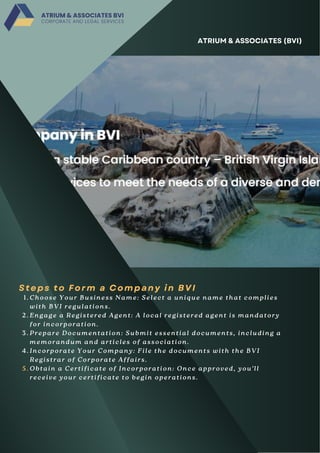 Company Formation in the British Virgin Islands (BVI).pdf