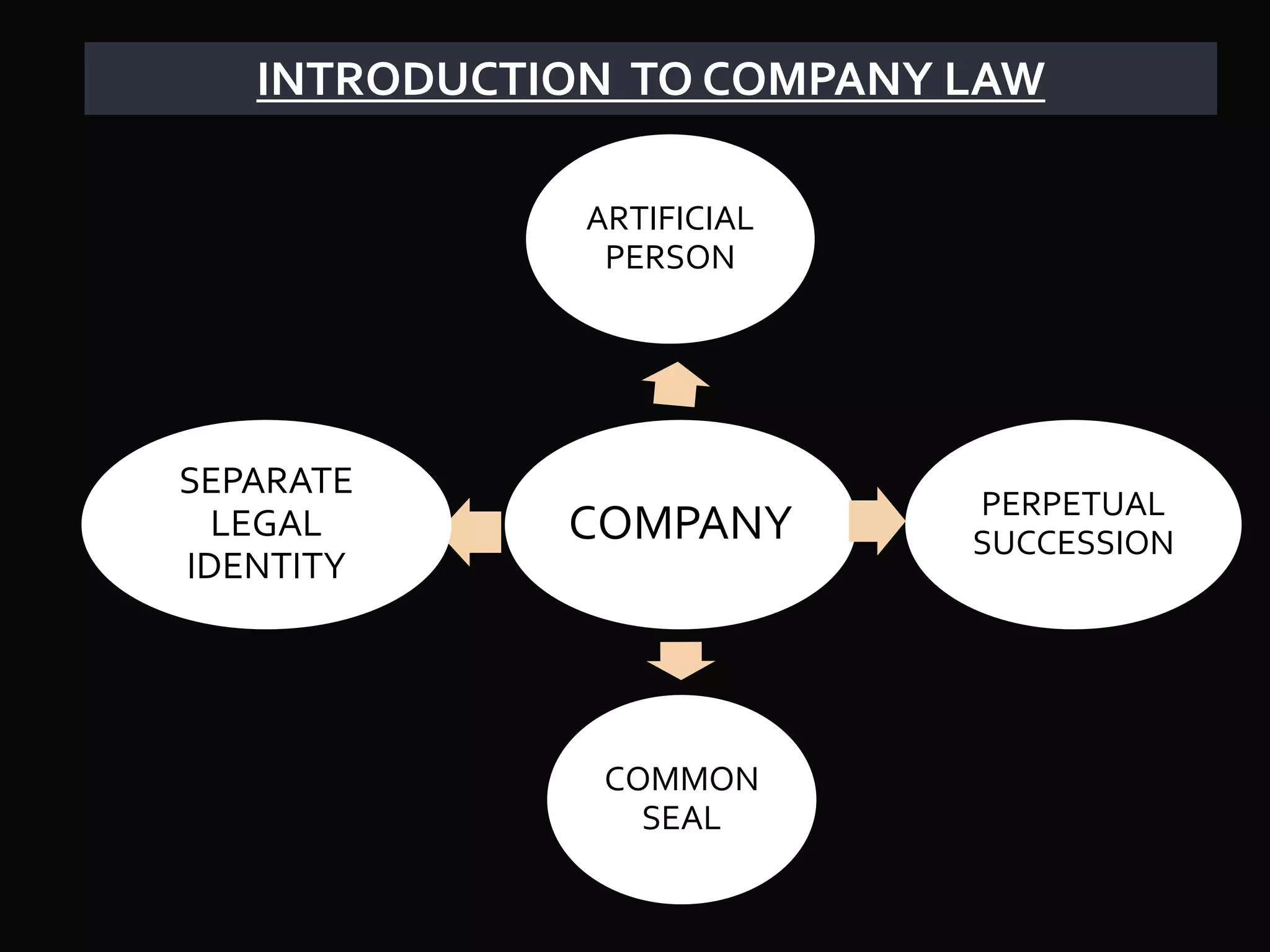Company law | PPTX