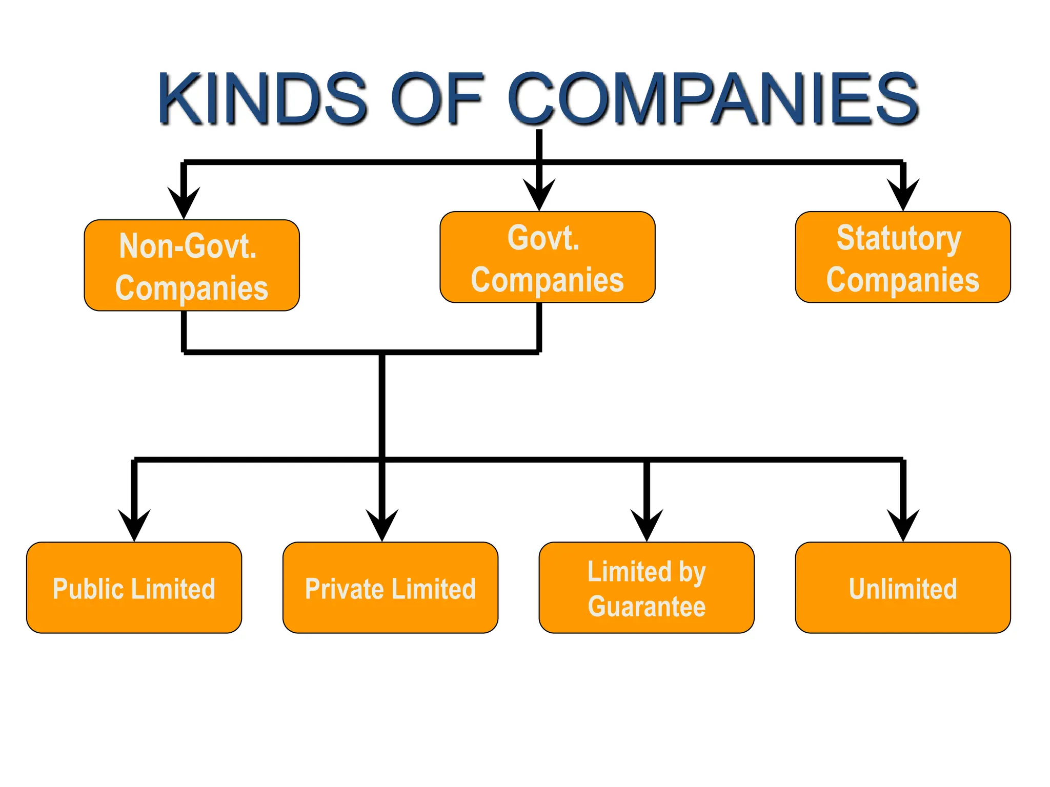 A Brief Presentation on Company Law 1994 in Bangladesh.ppt
