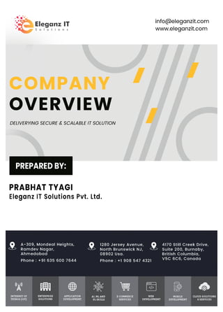 Eleganz IT Solutions Pvt. Ltd. | PDF