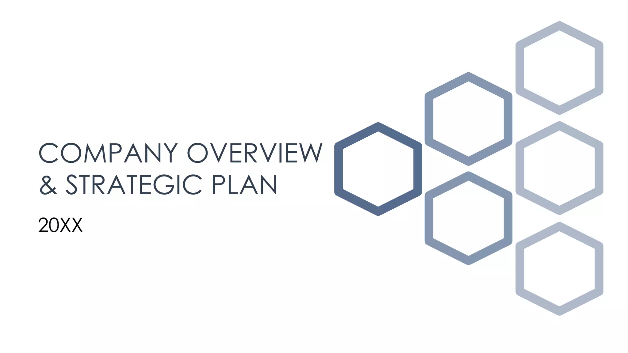 Company Overview & Strategic Plan Template by McKinsey Alum.pdf ...