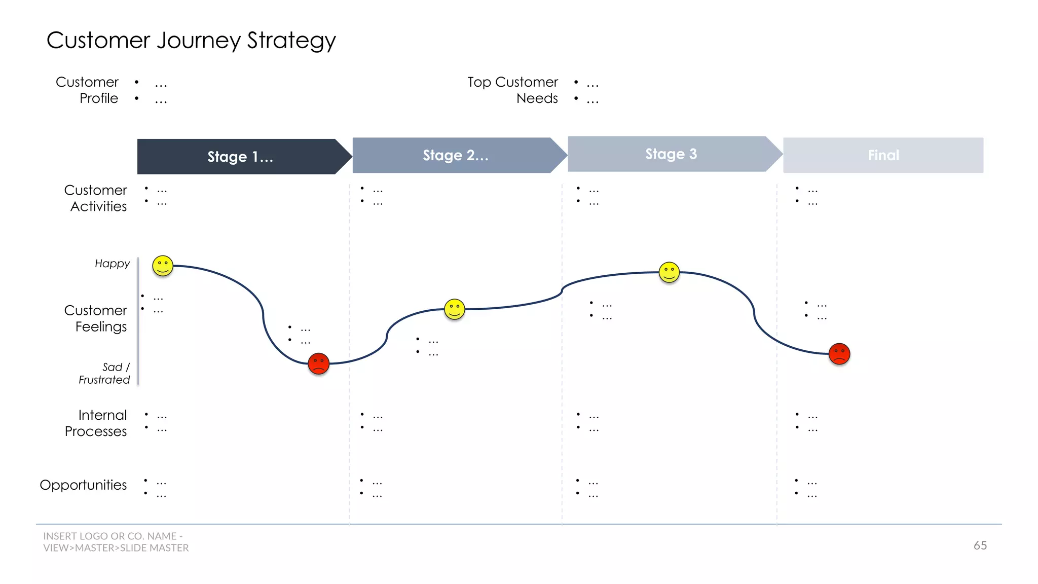 Company Overview & Strategic Plan Template by McKinsey Alum.pdf